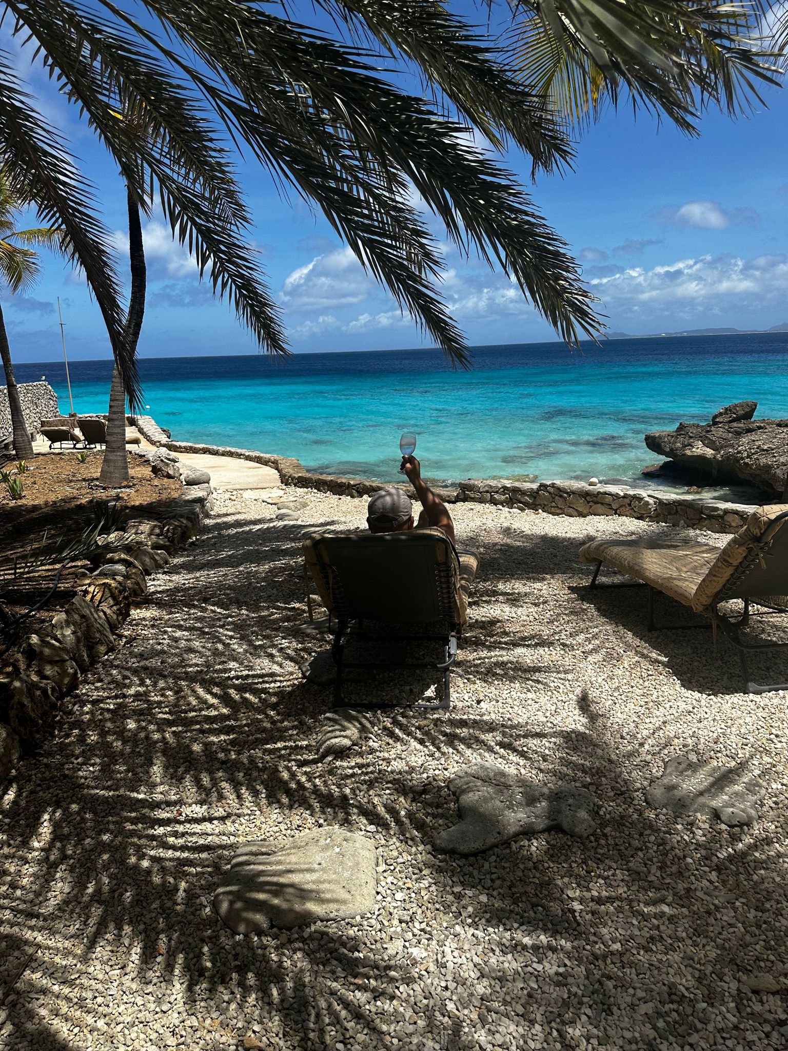 About us - The Whale Order